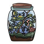 Hydro - Dracaena Reflexa Song of Sri Lanka Busch online kaufen